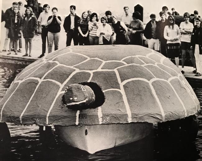 You can race around or build a turtle; But be sure you know where you ...